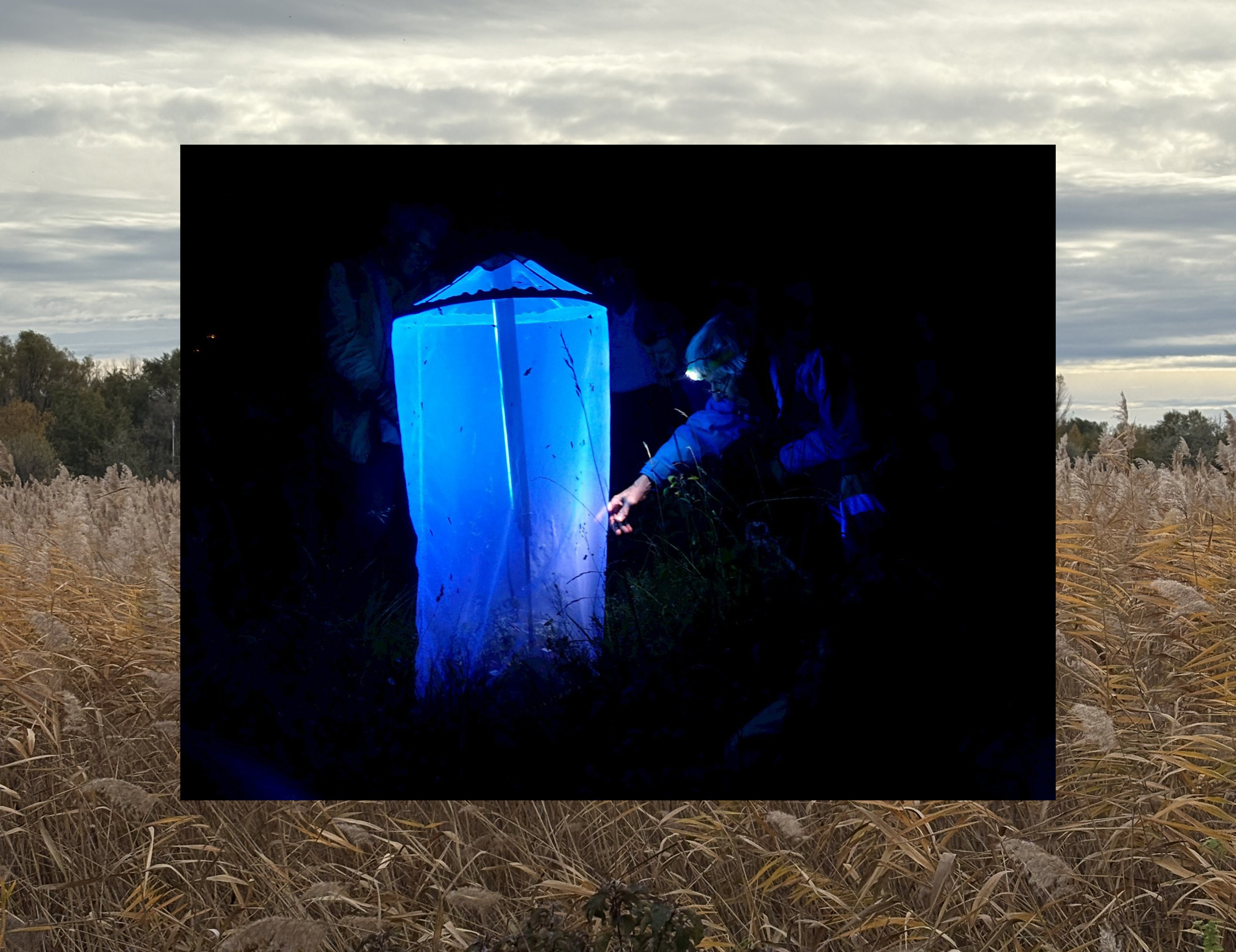 Archipelagos II – Raumgestaltung und Entwerfen